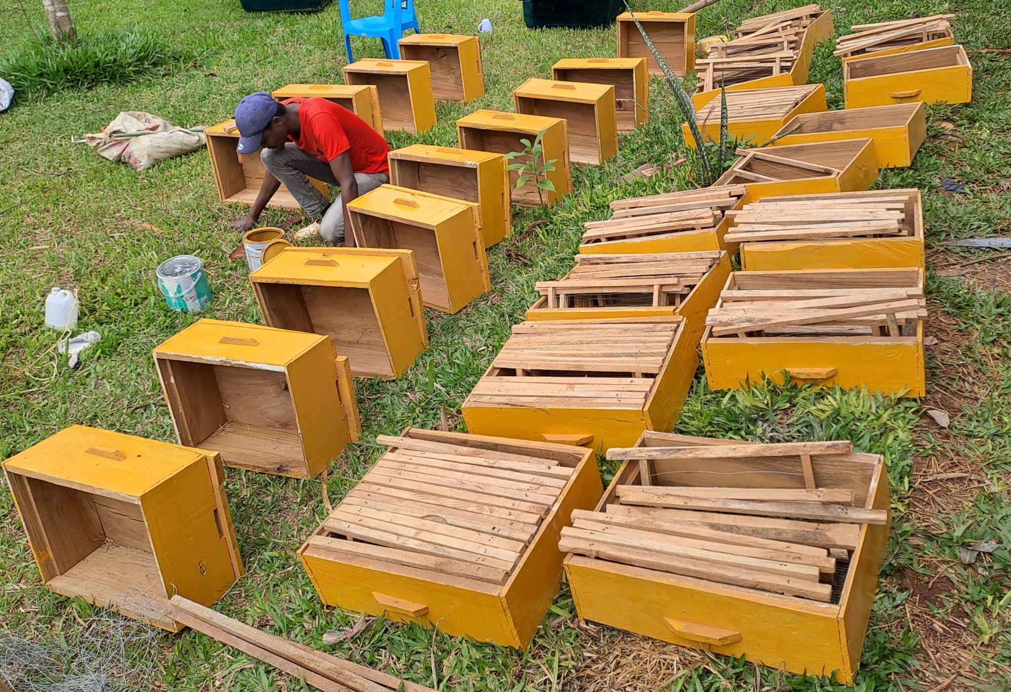 Communities Evergreening – Evergreening a community at a time!