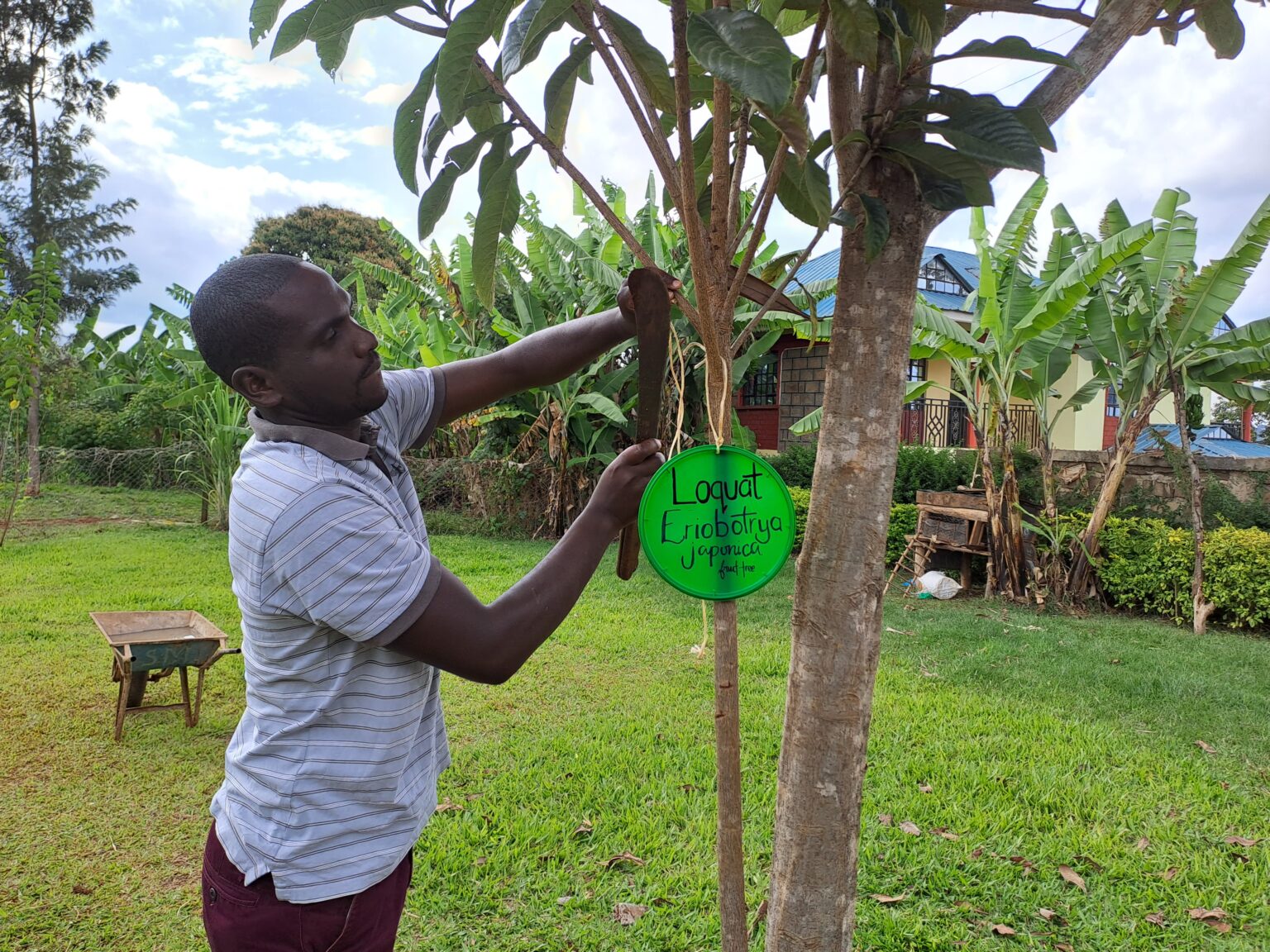 Communities Evergreening – Evergreening a community at a time!