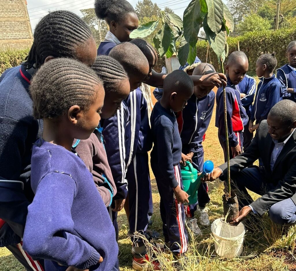 Communities Evergreening – Evergreening a community at a time!