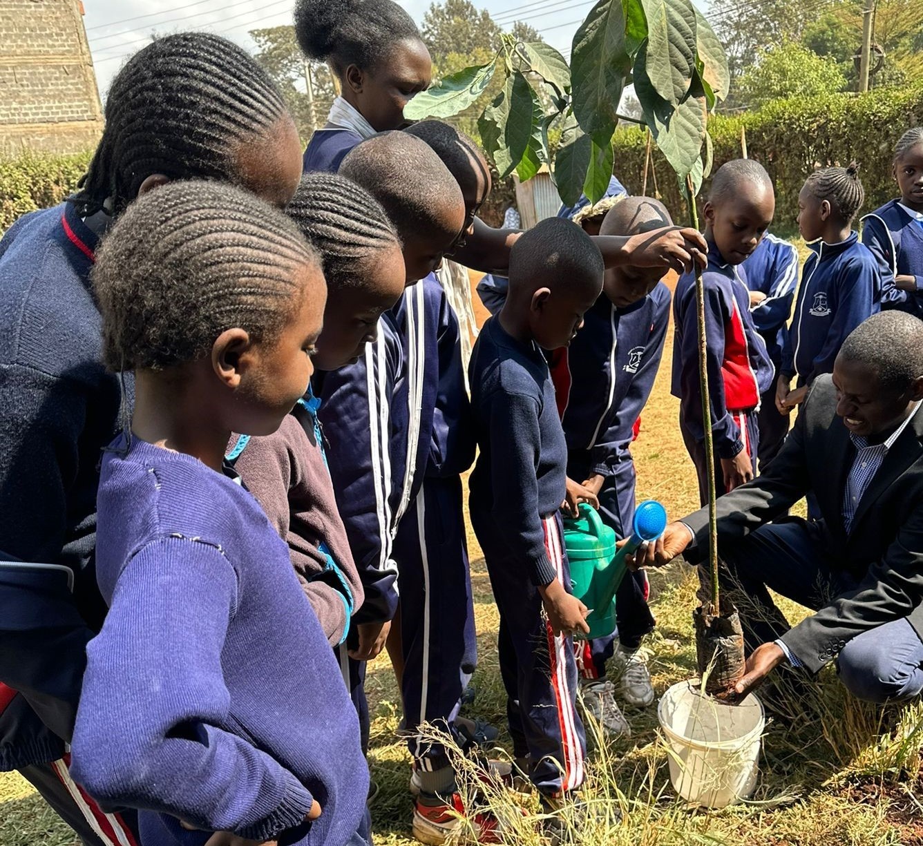 Communities Evergreening – Evergreening a community at a time!